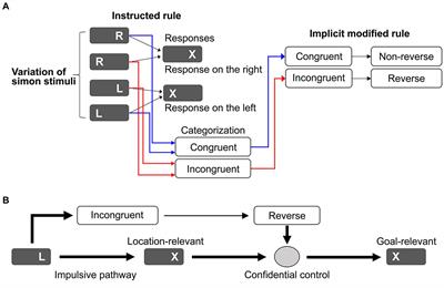 Frontiers | Action-rule-based cognitive control enables efficient execution of stimulus–response ...